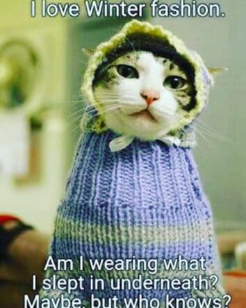 39 Funniest Cold Weather Memes For People Who Are One Shiver Away From ...