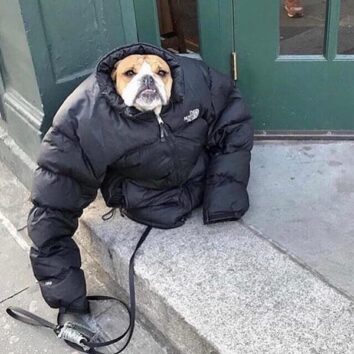 39 Funniest Cold Weather Memes For People Who Are One Shiver Away From ...