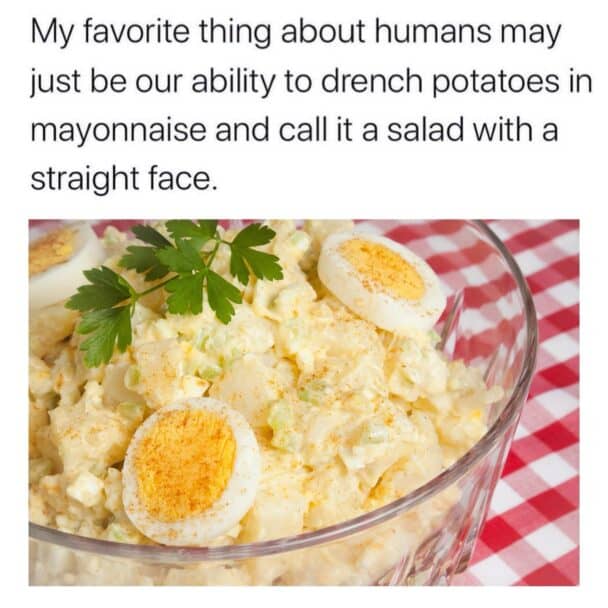 40 Funniest Food Memes That Are Part Of A Balanced Diet