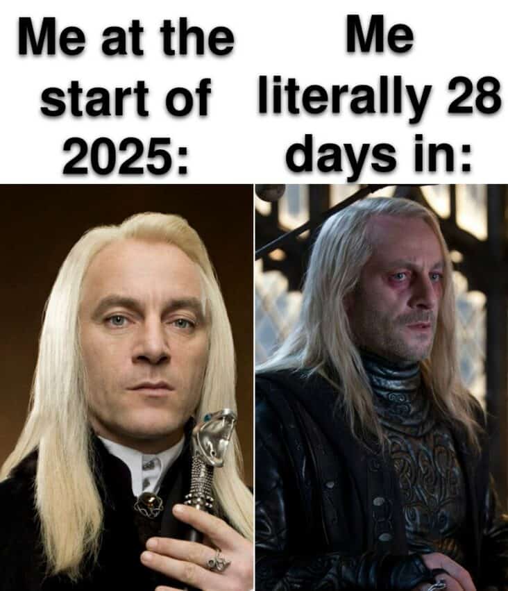 35 Funniest Harry Potter Memes Delivered By Owl Week (January 28, 2025)