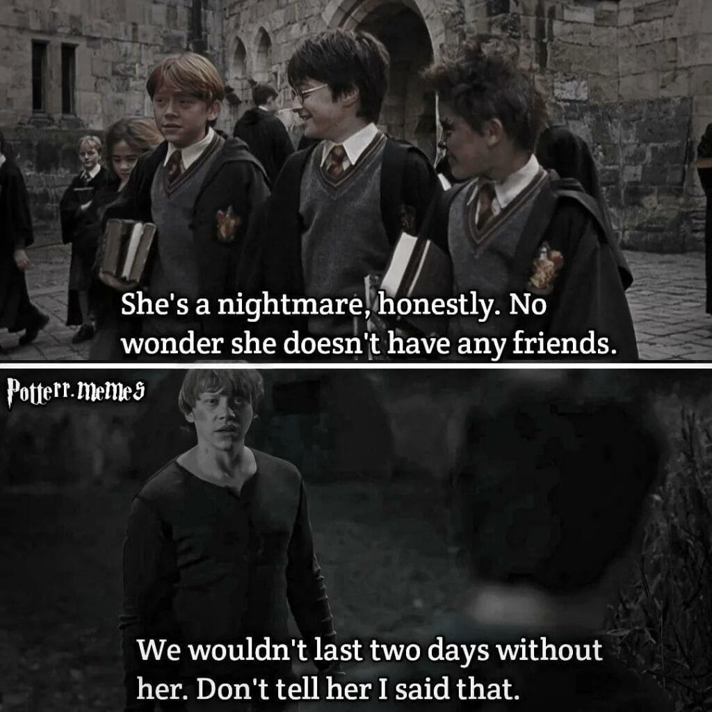 35 Funniest Harry Potter Memes Delivered By Owl Week (January 28, 2025)
