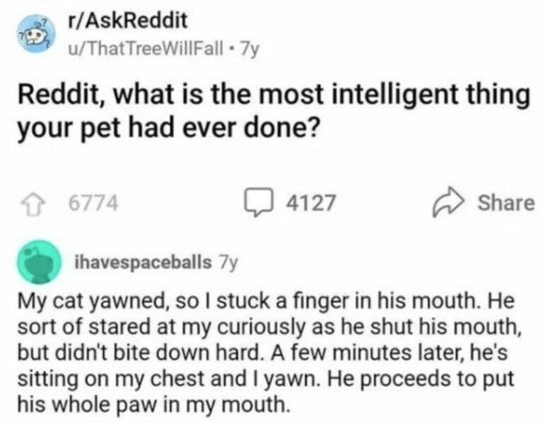 40 Funniest And Wildest Reddit Posts We Found In The Depths This Month ...
