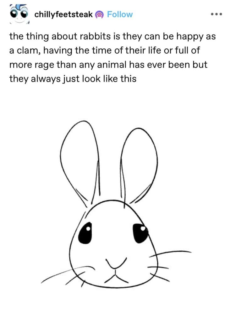 40+ Funniest Tumblr Memes That Made Us Laugh And Think This Month ...