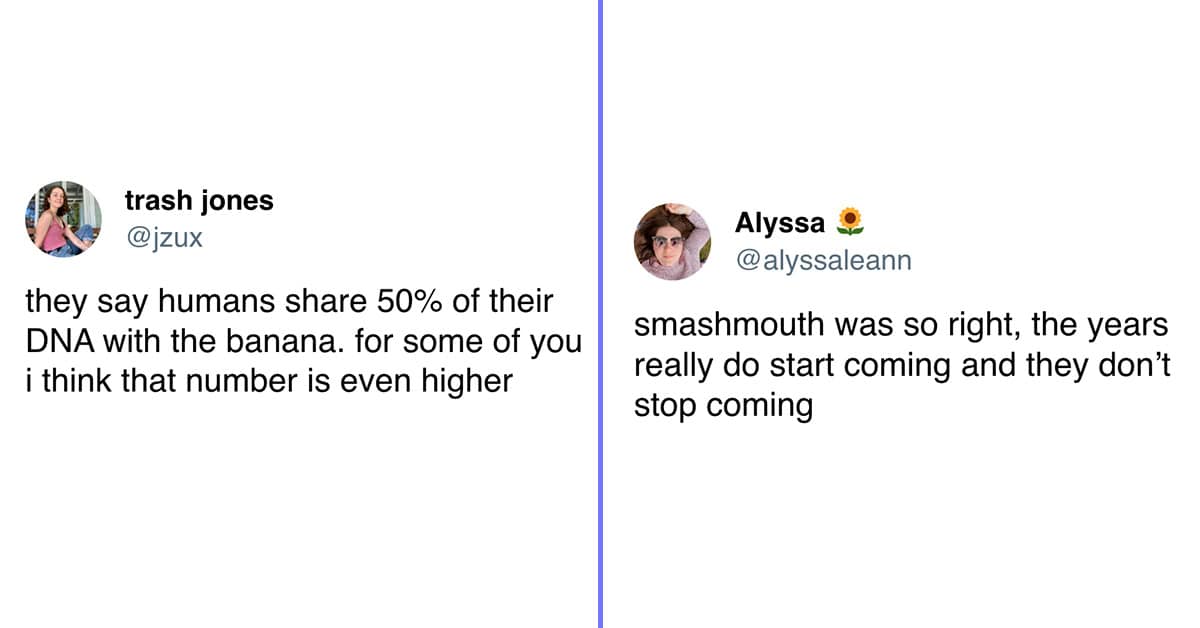 31 Funniest Tweets Of All Time From Wednesday (January 1, 2025)