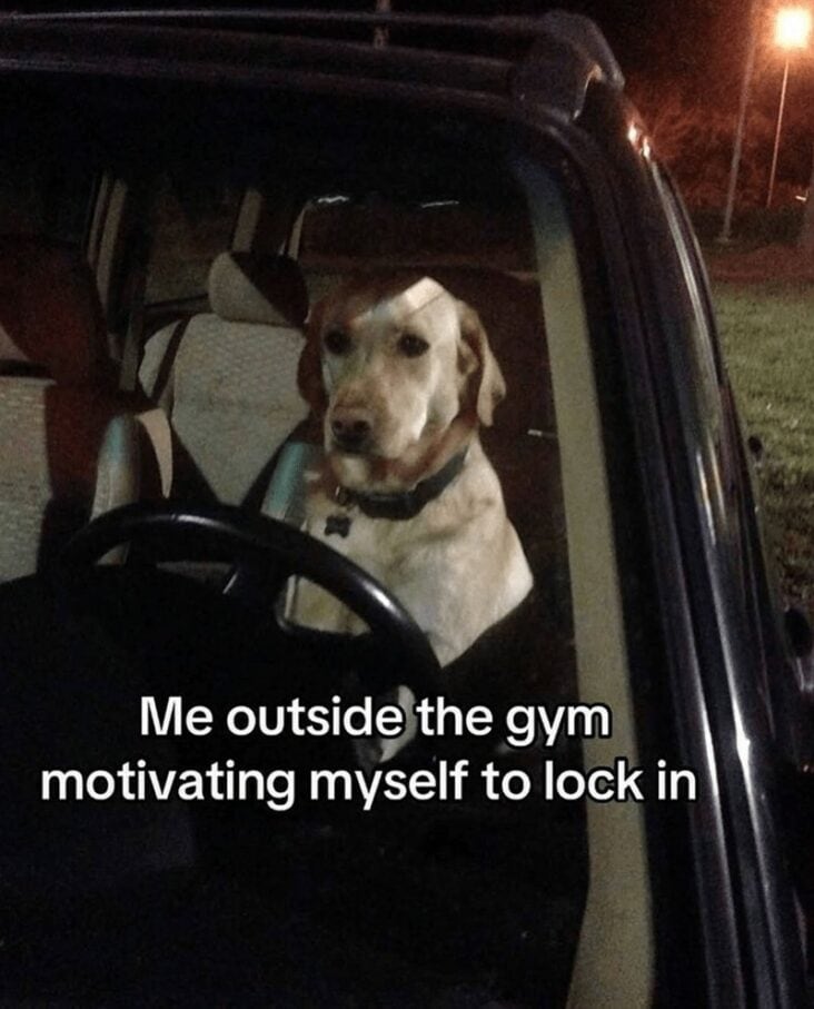 35 Funniest Workout Memes Posting Maximum Gains This Week (January 20 ...