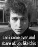 40 Funny Bob Dylan Memes That’ll Have You Knockin’ On Laughter’s Door ...