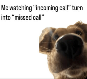 40 Funny Dog Memes That’ll Have You Howling With Laughter (January 1, 2025)