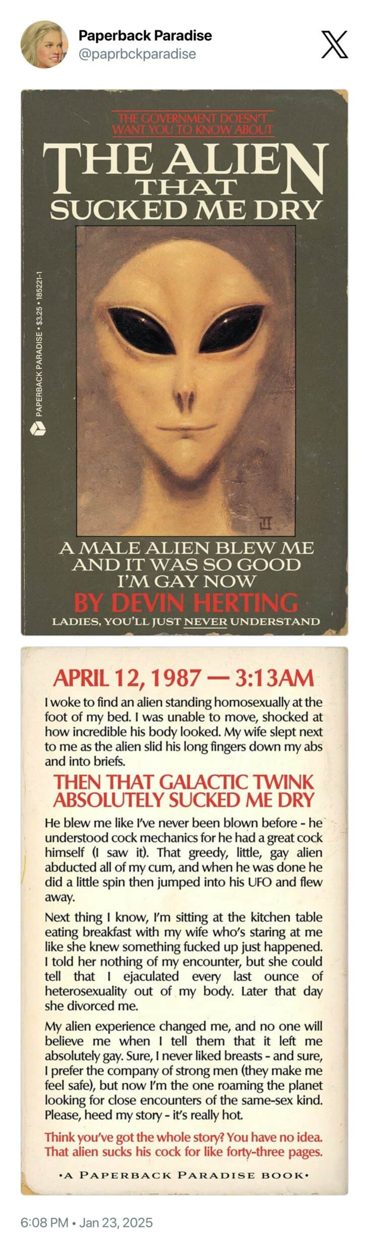 35 Times "Paperback Paradise" Made Fake Titles For Classic Book Covers ...