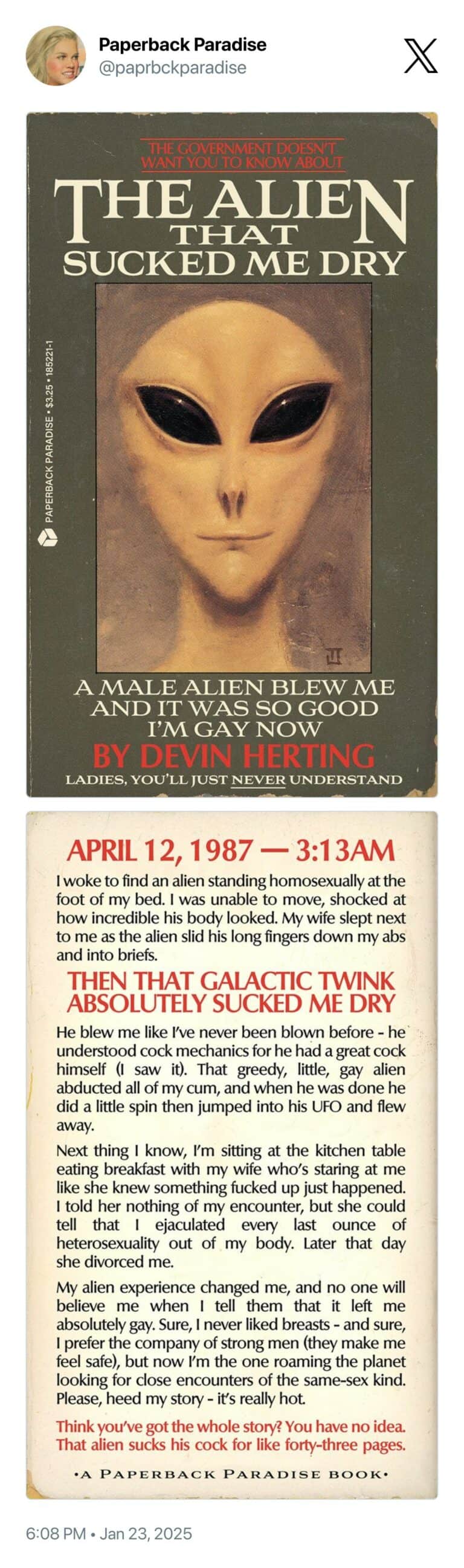 35 Times "Paperback Paradise" Made Fake Titles For Classic Book Covers ...