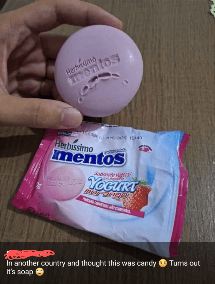 "Forbidden Snacks" — 30 Hilariously Delicious Looking Inedible Objects ...