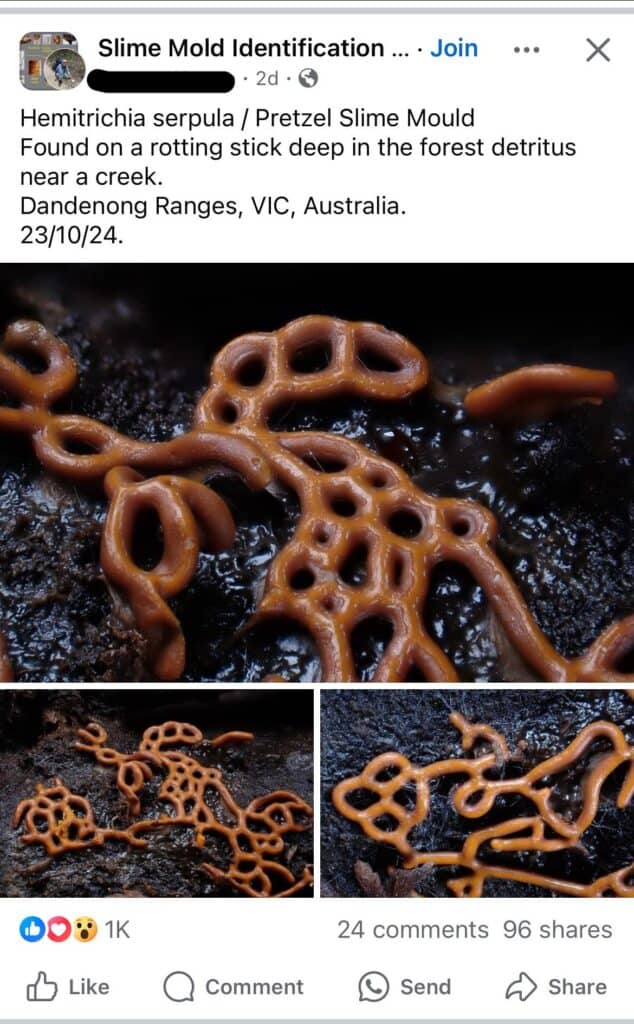 "Forbidden Snacks" — 30 Hilariously Delicious Looking Inedible Objects ...