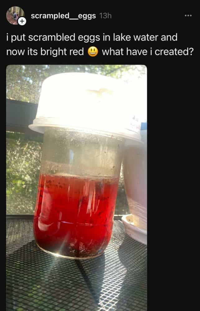 "Forbidden Snacks" — 30 Hilariously Delicious Looking Inedible Objects ...