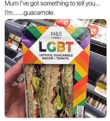 35 Funny Guacamole Memes For Anyone Who Can’t Resist That Green Gold