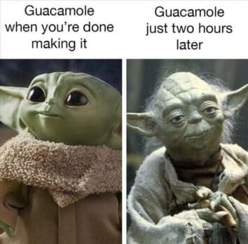 35 Funny Guacamole Memes For Anyone Who Can’t Resist That Green Gold