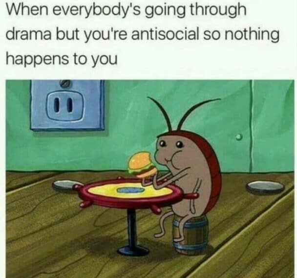 35 Hilarious Introvert Memes For "Lone Wolves" Who Are Actually Indoor ...