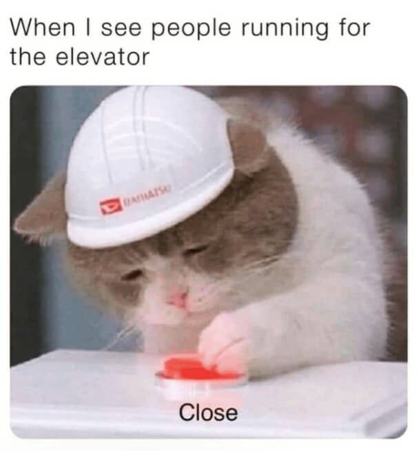 40+ Hilarious Introvert Memes For "Lone Wolves" Who Are Actually Indoor ...