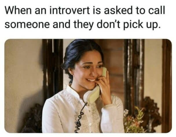 40+ Hilarious Introvert Memes For "Lone Wolves" Who Are Actually Indoor ...