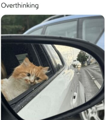 40+ Hilarious Introvert Memes For "Lone Wolves" Who Are Actually Indoor ...
