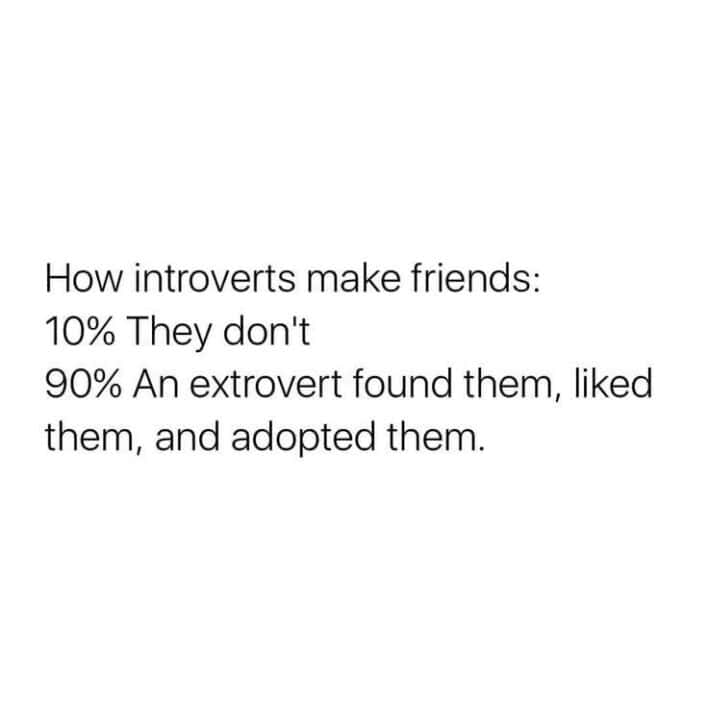 35 Hilarious Introvert Memes For "Lone Wolves" Who Are Actually Indoor ...