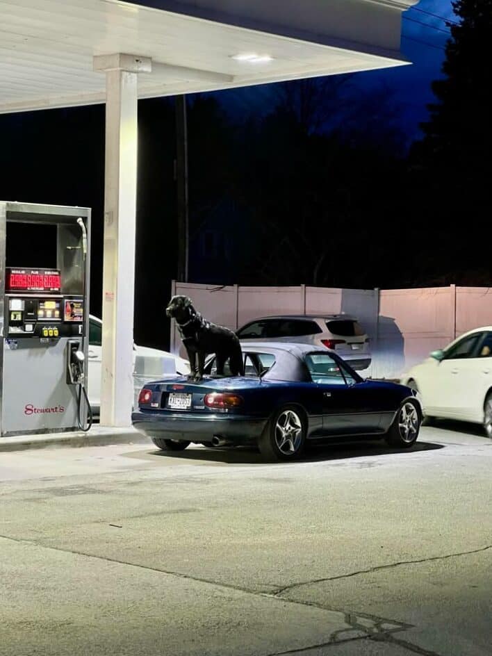 50 Mazda Miatas With Very Threatening Auras, And Yes, Even More-So Than ...