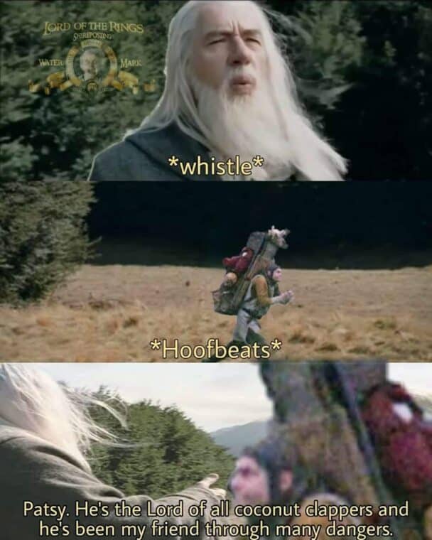 30 Hilarious Monty Python And Lord Of The Rings Mashup Memes True Geeks ...