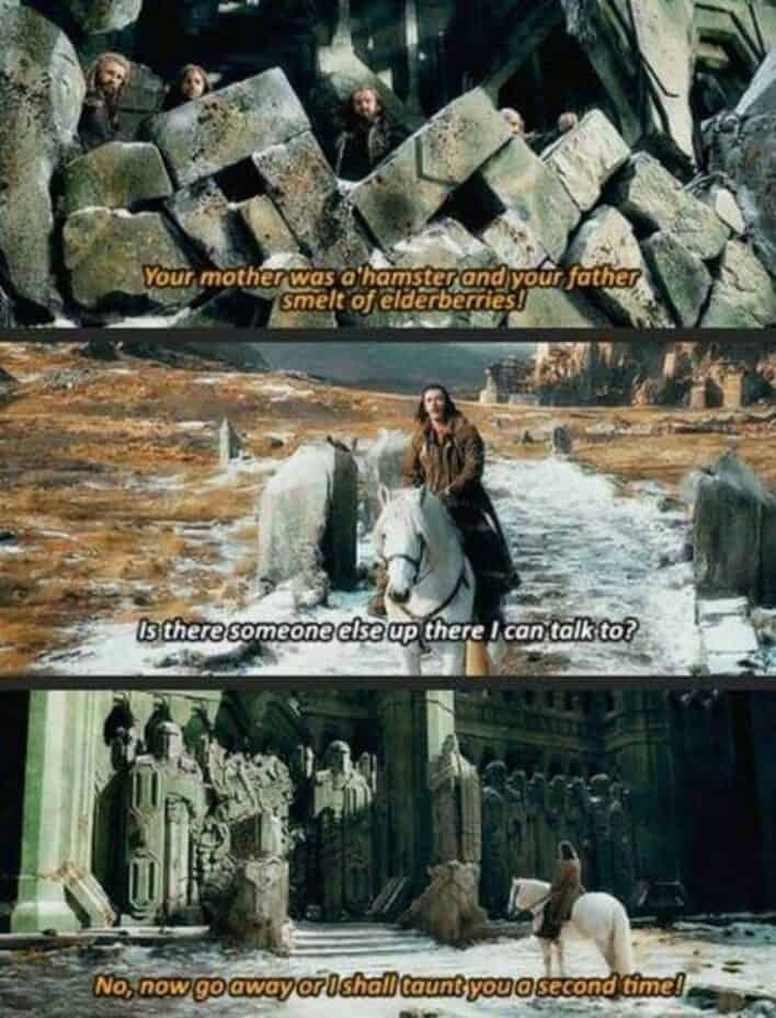 30 Hilarious Monty Python And Lord Of The Rings Mashup Memes True Geeks ...