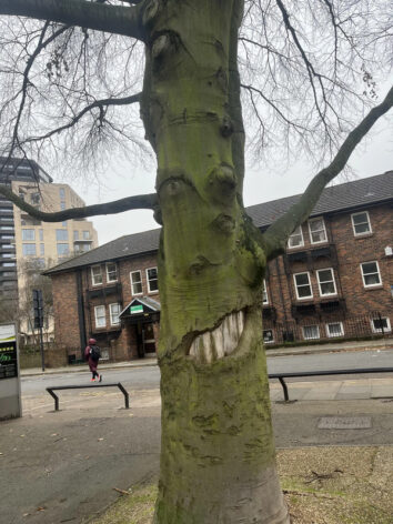 50 Funny Pareidolia Pictures That’ll Make You Do A Double Take