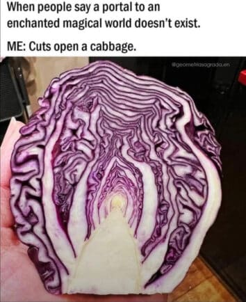 50 Funny Pareidolia Pictures That’ll Make You Do A Double Take