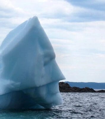 50 Funny Pareidolia Pictures That’ll Make You Do A Double Take