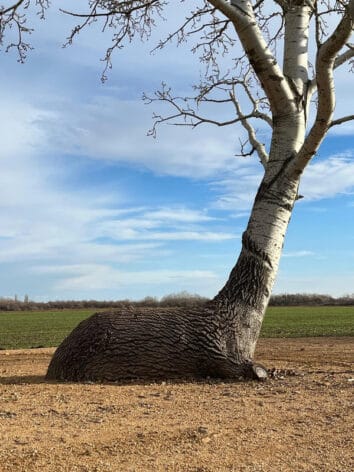 50 Funny Pareidolia Pictures That’ll Make You Do A Double Take