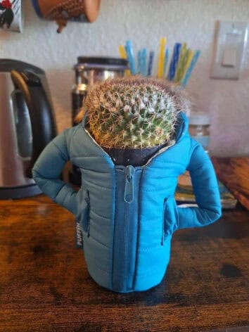 40 Funny Pictures To Get You Through The Midweek Slump (January 29, 2025)