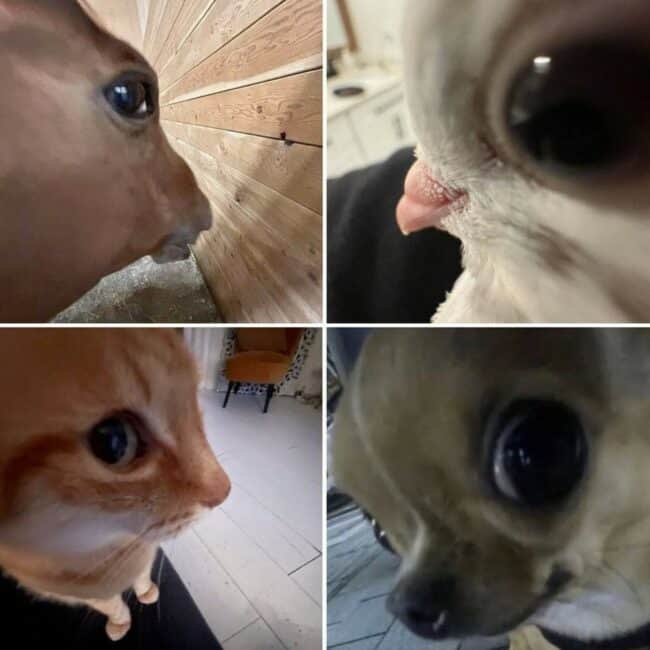 40 Funny Pictures That'll Make You Say "Hmmm" Because There's Really No ...