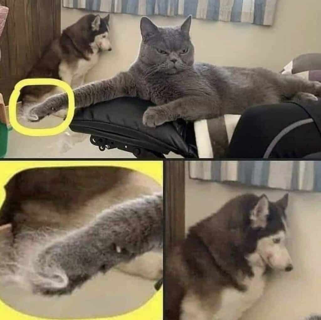 40 Funny Pictures That'll Make You Say "Hmmm" Because There's Really No ...