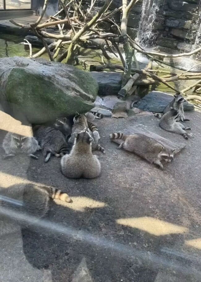 50 Funny Pictures That'll Make You Say "Hmmm" Because There's Really No ...