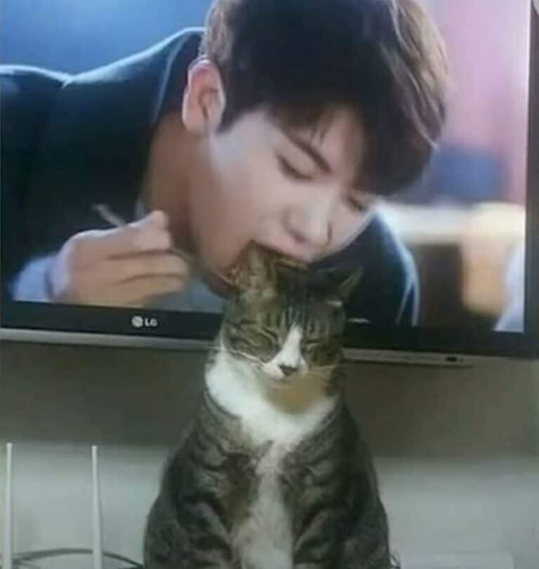 40 Funny Pictures That'll Make You Say "Hmmm" Because There's Really No ...