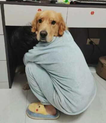 50 Funny And/Or Random Pictures To Help You Survive The End-Of-Weekend ...