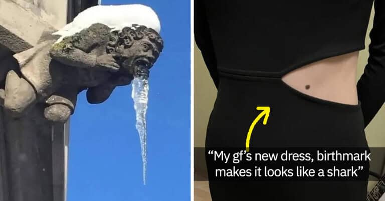 50 Funny And/Or Random Pictures To Snowed-In Sunday Evening (January 25 ...