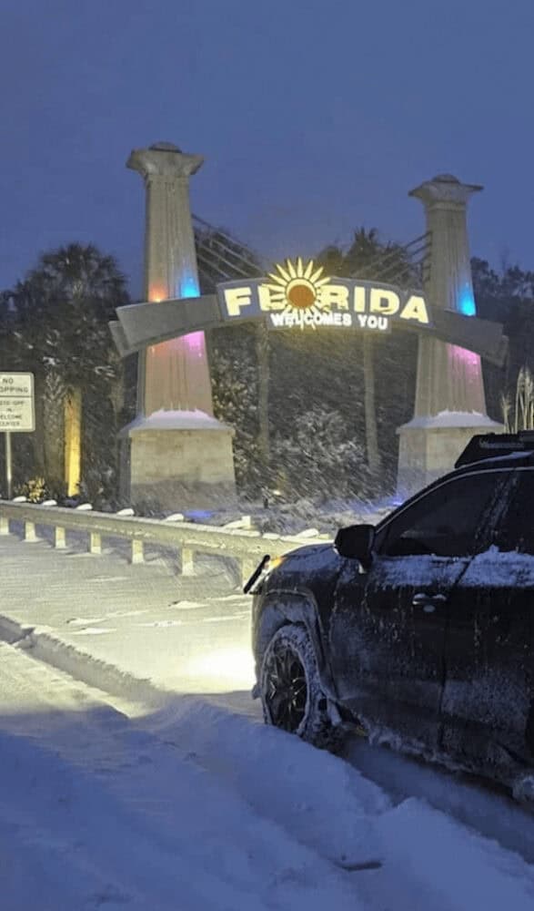 50 Funny And/Or Random Pictures To Enhance Your Afternoon Scroll ...