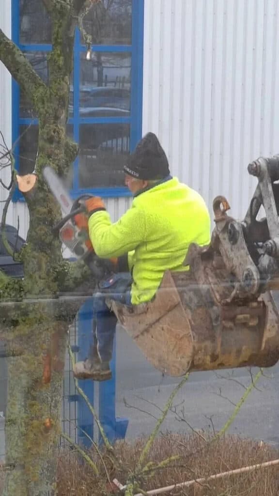 45 Funny And/Or Random Pictures To Enhance Your Weekend Scroll (January ...