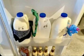 45 Funny And/Or Random Pictures To Spice Up Your Afternoon Scroll ...