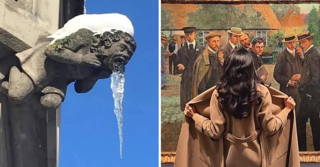 50 Funny And/Or Random Pictures To Enhance Your Afternoon Scroll ...