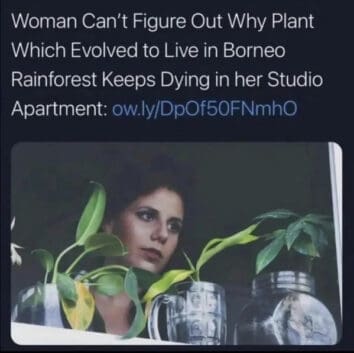 40 Hilariously Relatable Memes That Hit Way Too Close To Home This Week ...