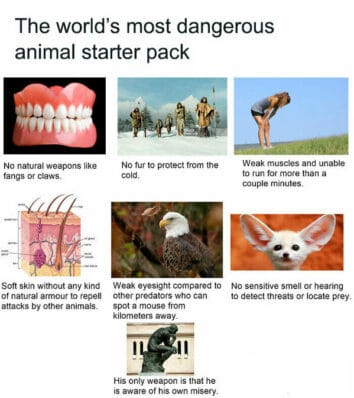 45 Funny Starter Pack Memes That Are Weirdly Specific Yet Surprisingly ...