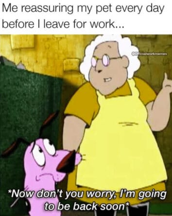 45 Funny Work Memes For Anyone Already Counting Down To Friday (January ...