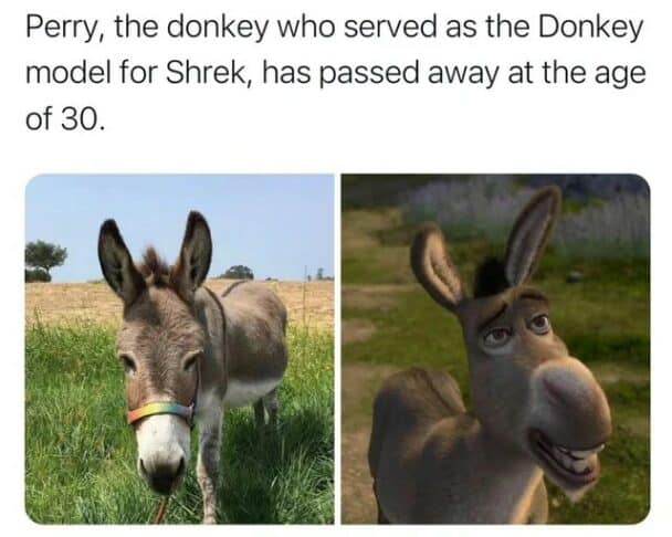 31 Random And Really Interesting Things We Found Online Recently