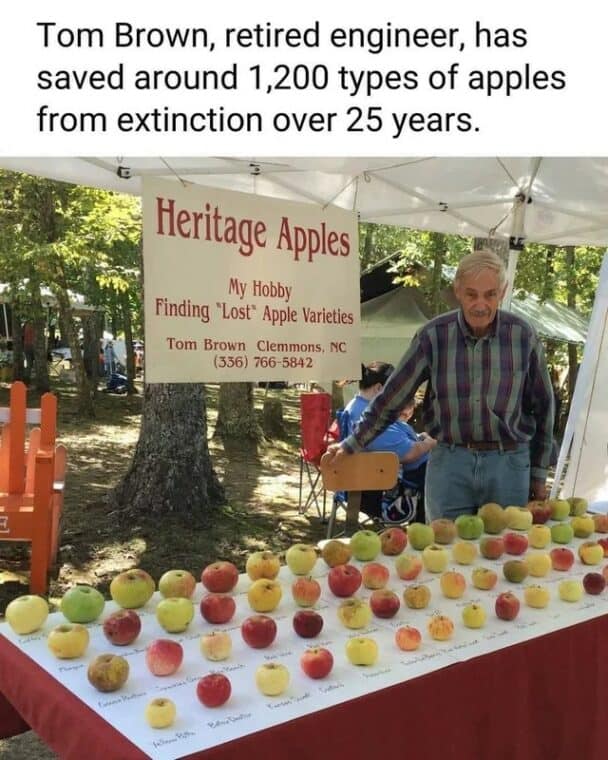 31 Random And Really Interesting Things We Found Online Recently