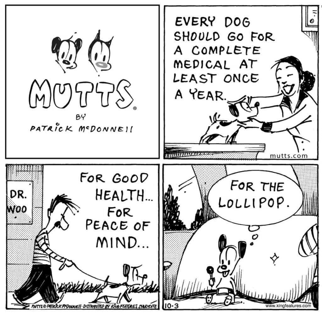 32 Funny Comics Animal Lovers Will Adore From "MUTTS"