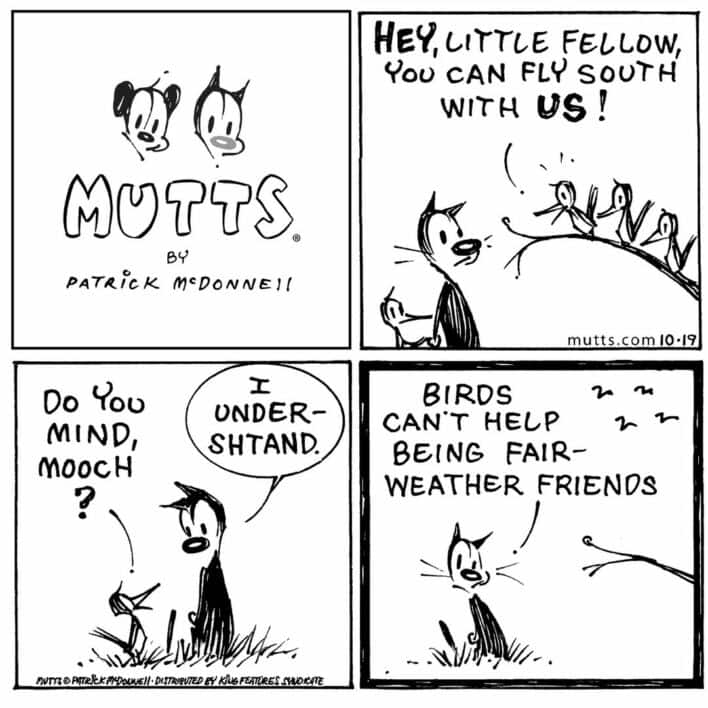 32 Funny Comics Animal Lovers Will Adore From "MUTTS"