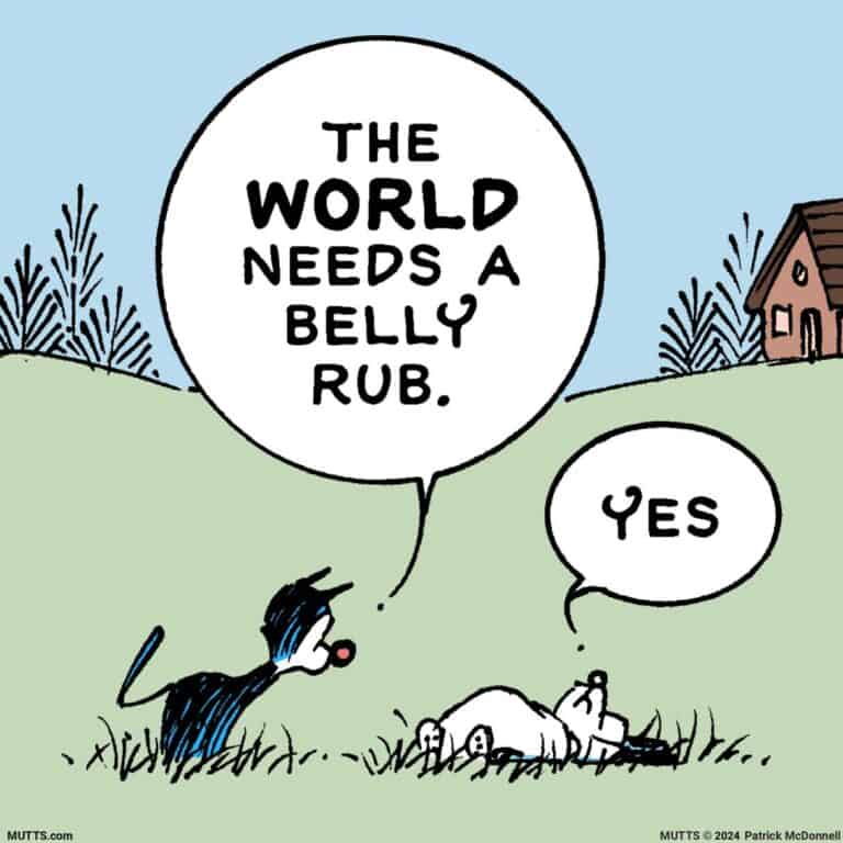 32 Funny Comics Animal Lovers Will Adore From "MUTTS"