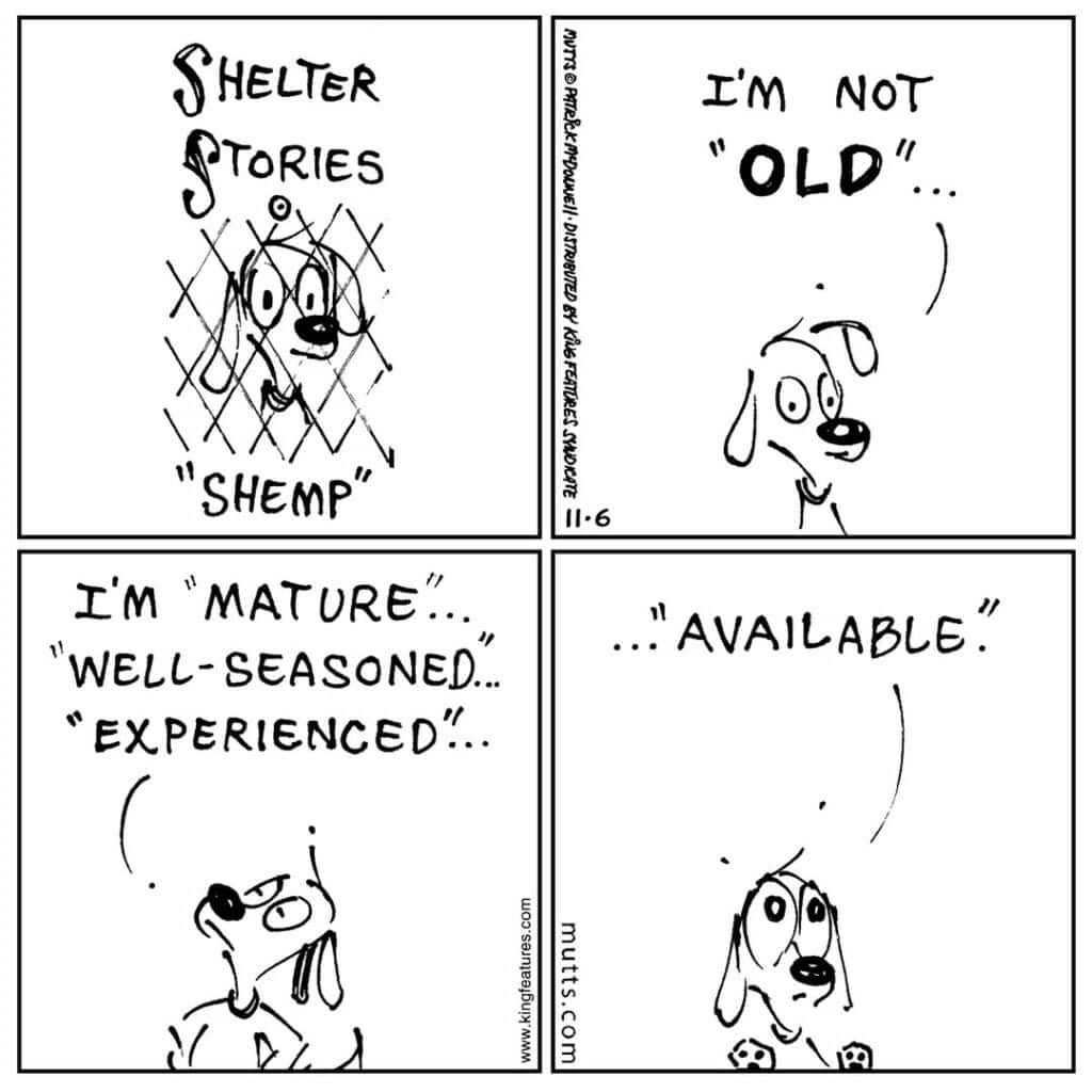32 Funny Comics Animal Lovers Will Adore From "MUTTS"